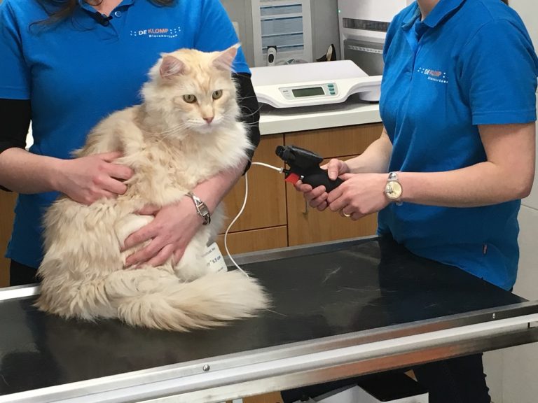 Bloeddrukmetingen - De Klomp Dierenartsen